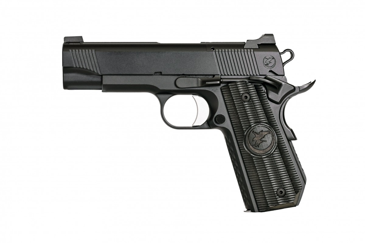 Nighthawk Custom, Border Special, 9mm, 4.25" match grade bull SS ...